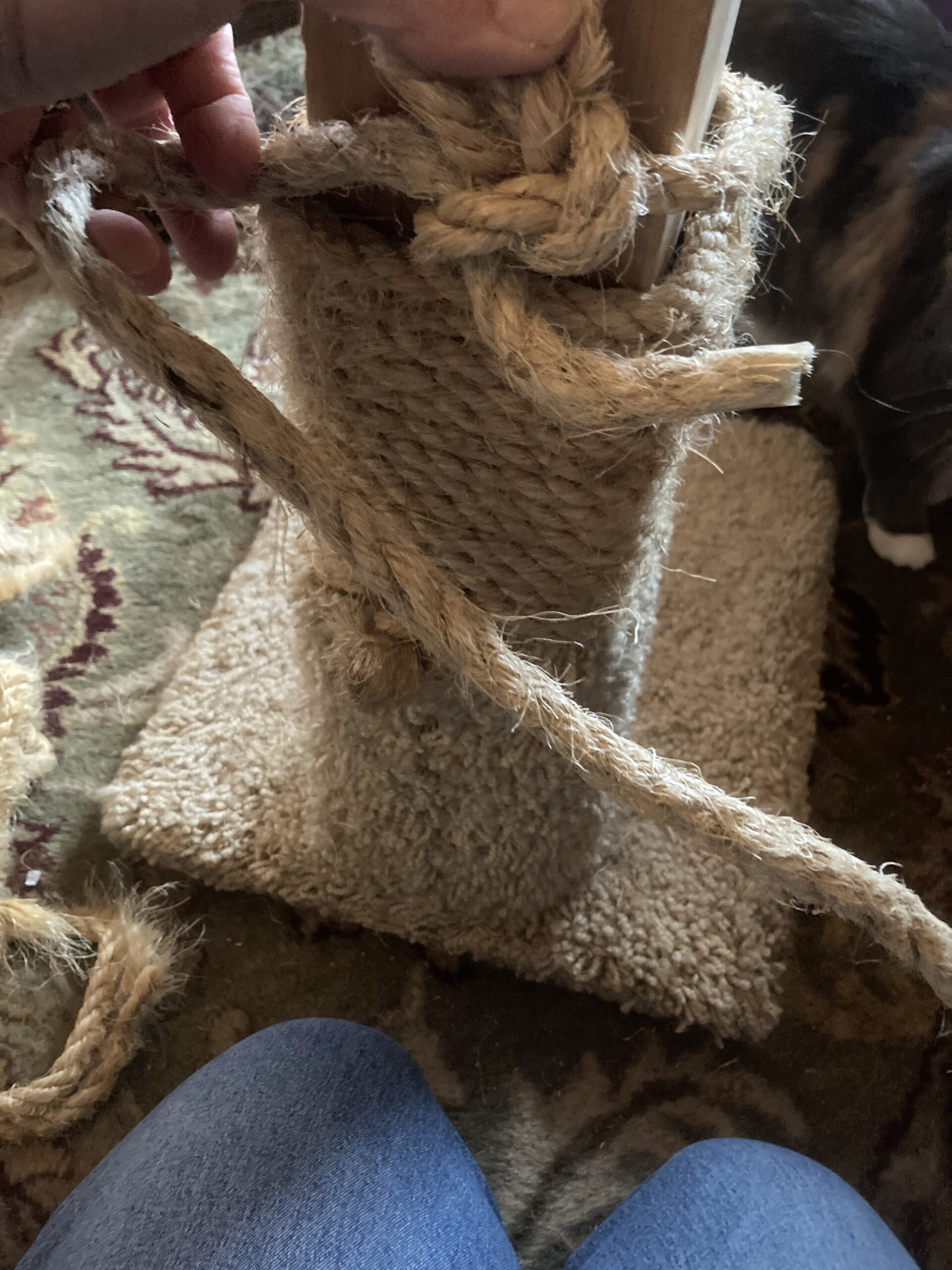 How to Refurbish an old cat Scratching Post - Doing It-Projects with ...