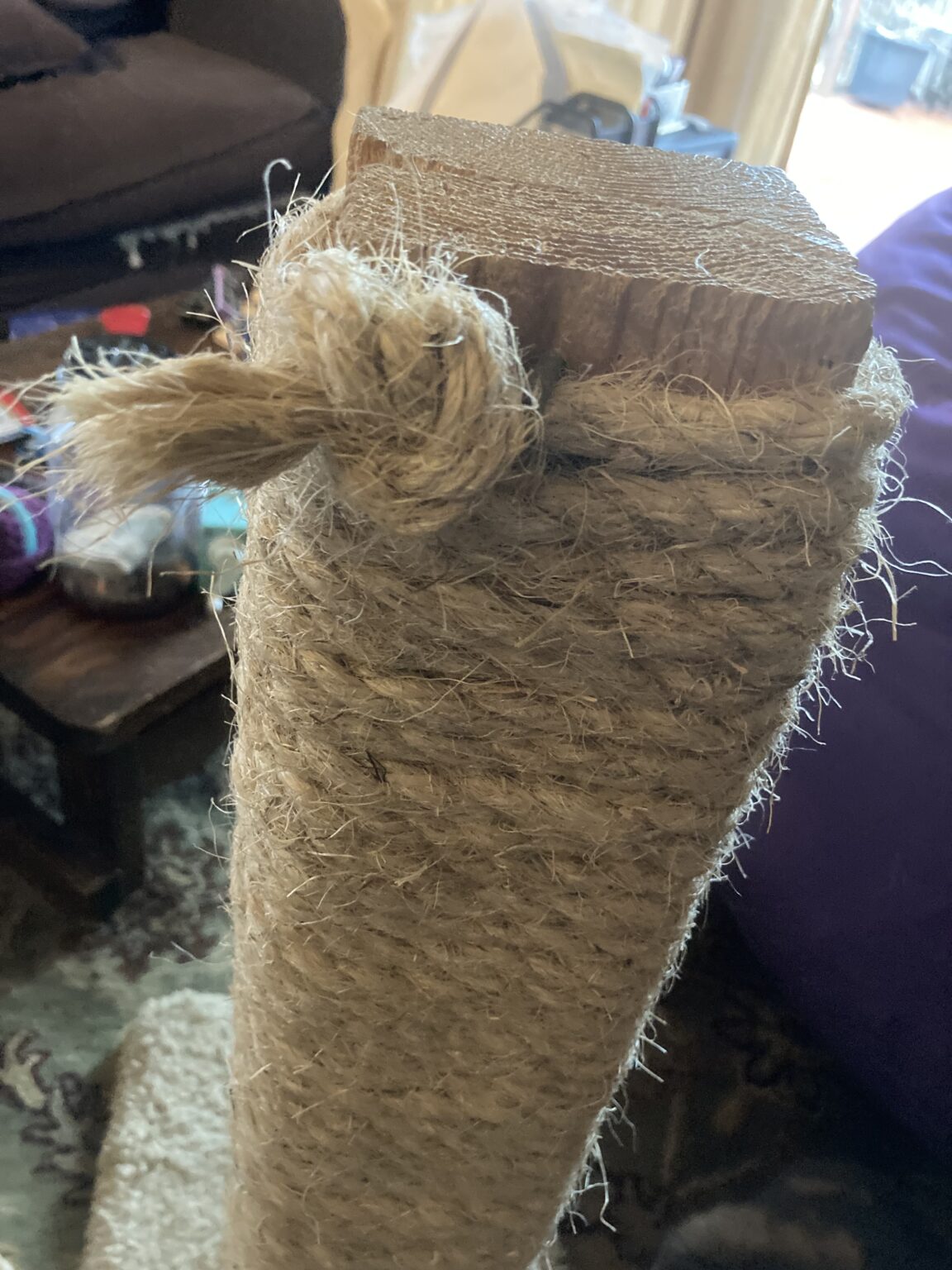 How to Refurbish an old cat Scratching Post - Doing It-Projects with ...