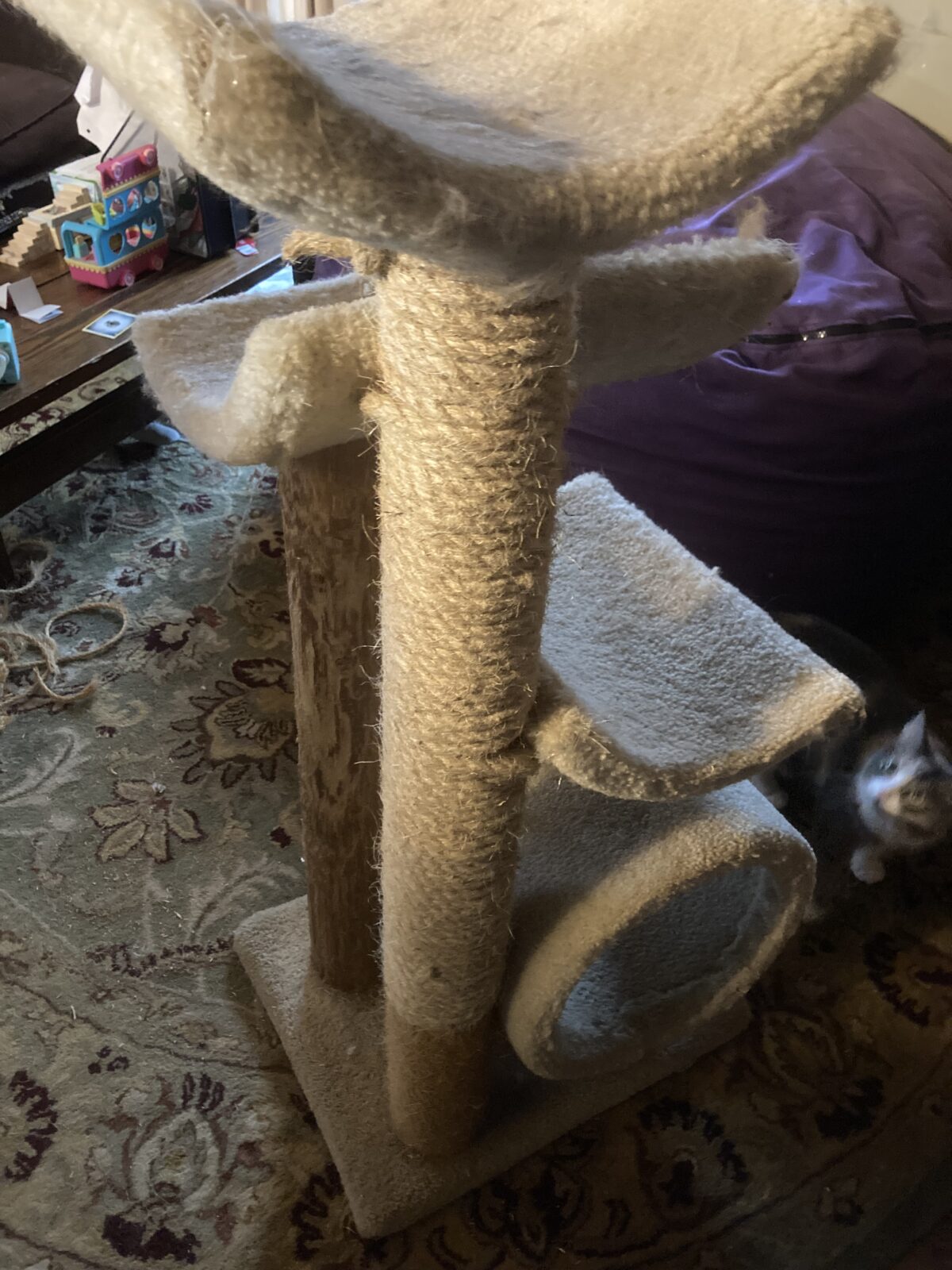 How to Refurbish an old cat Scratching Post - Doing It-Projects with ...